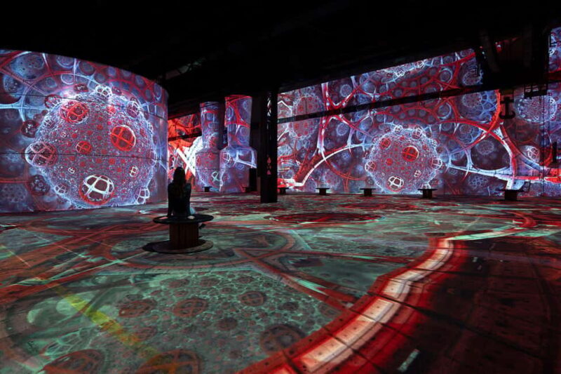 Dortmund: Phoenix des Lumières Ticket  Monet - Who Will Enjoy This Experience?