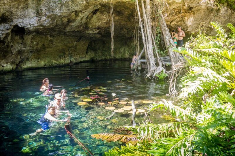 Dos Cenotes Adventure: Swim, Explore & Taste - A Detailed Look at the Dos Cenotes Adventure