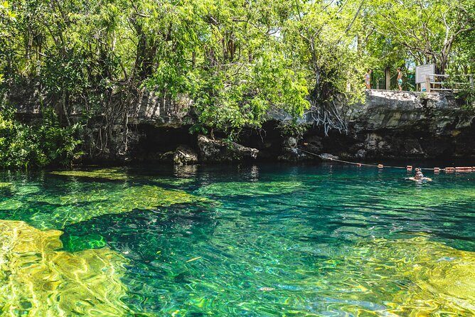Dos Cenotes and Restaurant Lunch Private Adventure - Who is This Tour Best For?
