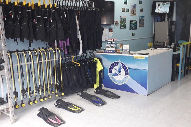 Dos Ojos Cenote Cavern Dive- The Barbie Line and The Bat Cave - Is This Tour Right for You?