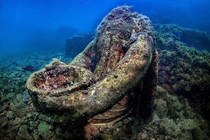 Double Dive in the Bay Park for certified divers - Key Points