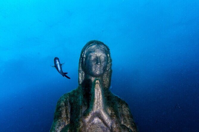 Double dive in the Punta Campanella Marine Protected Area - Key Points