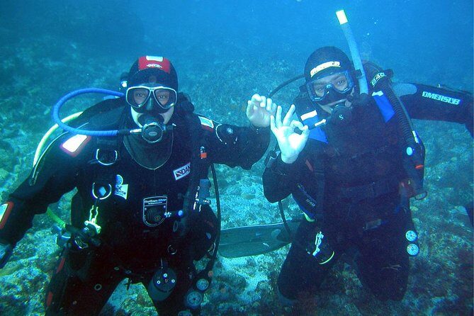 Double dream dive on a Maritime Reserve - Introduction: An Underwater Adventure in Portugal