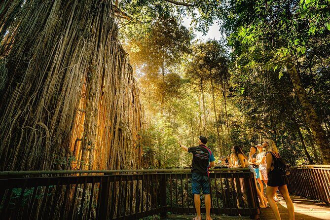 Double Pack-Ancient Rainforest and Waterfalls! - Practical Details & What to Expect