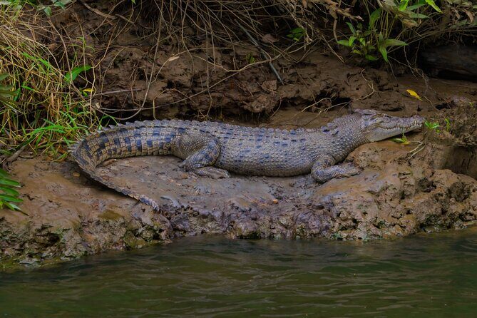 Double Pack-Ancient Rainforest and Waterfalls! - FAQ