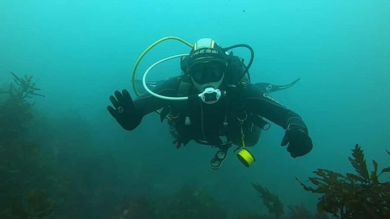 Double Shore Dive with Equipment - Who Will Love This Tour?