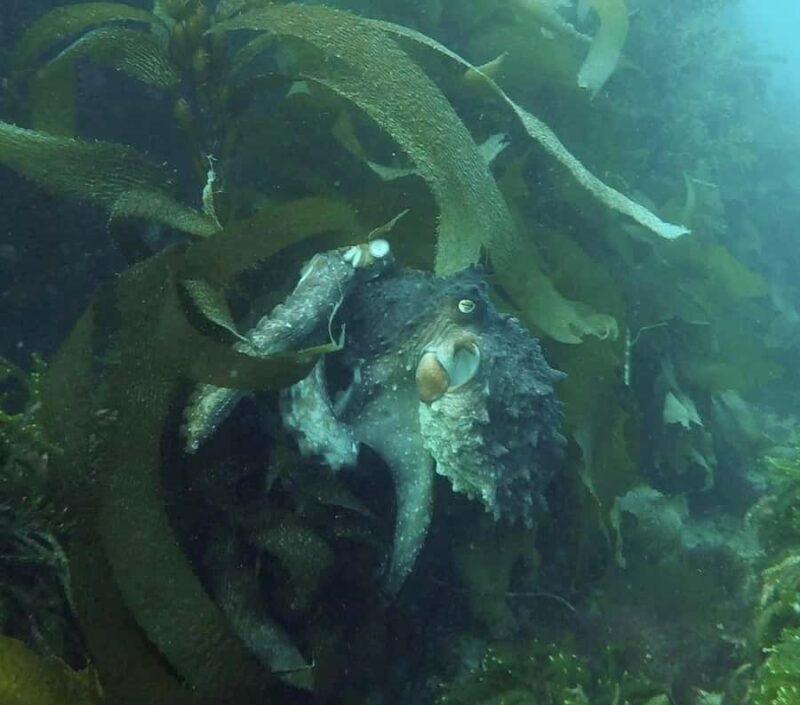 Double Shore Dive with Equipment - Final Thoughts