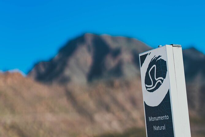 Double Tuk Tuk Tour in Costa Adeje - Final Paragraphs