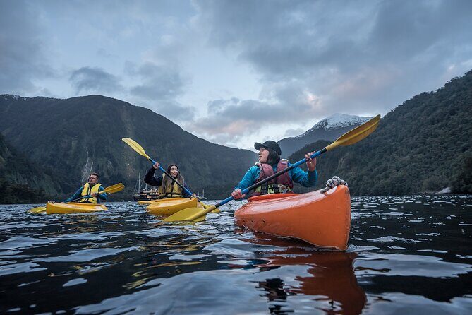 Doubtful Sound Overnight Cruise - Who Is This Tour Perfect For?