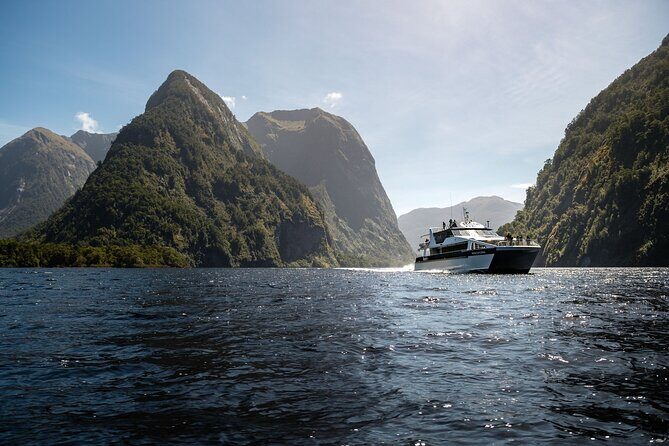 Doubtful Sound Wilderness Cruise from Te Anau - Wildlife and Natural Highlights