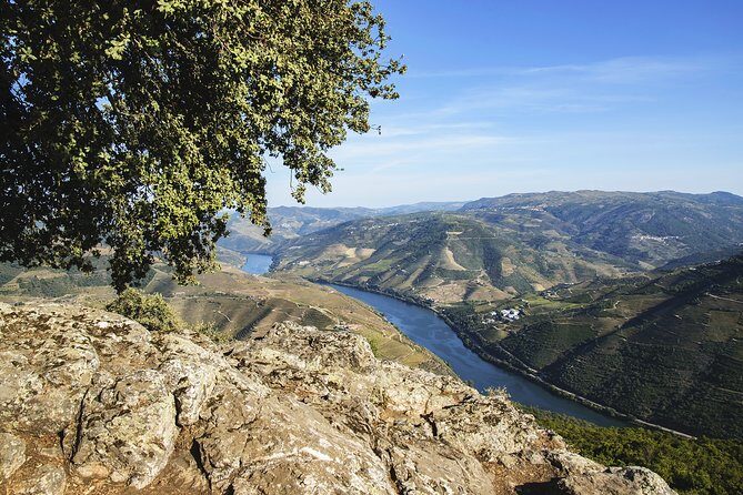 Douro Full Day Tour with Wine Tasting and Lunch - The Full Itinerary Breakdown