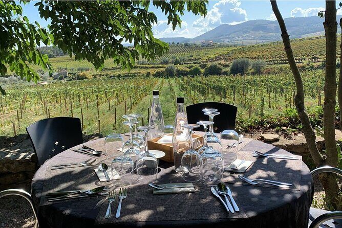 Douro Full Day Tour with Wine Tasting and Lunch - Transportation and Group Size