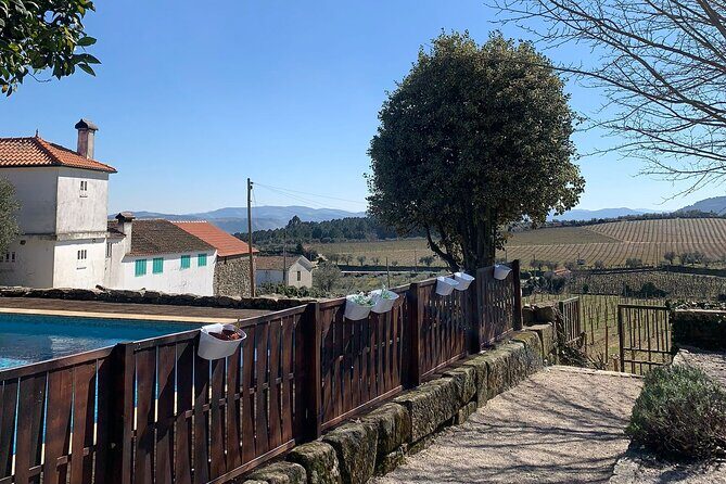 Douro Full Day Tour with Wine Tasting and Lunch - Real Experiences and Review Insights