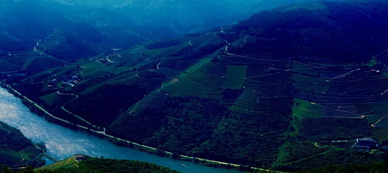 DOURO PREMIUM - Key Points