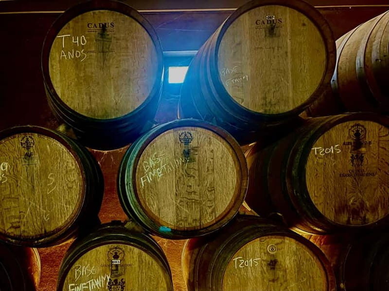 DOURO PREMIUM - Final Thoughts