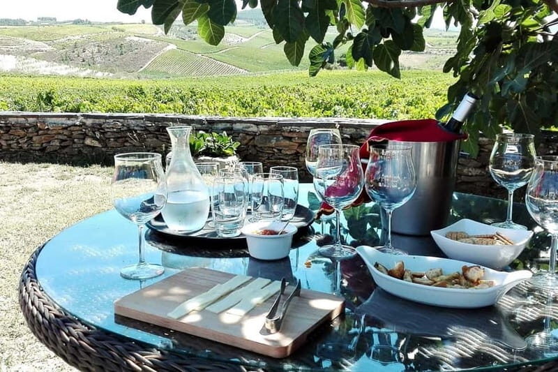 Douro Private Tour  Customizable Experience - Key Points