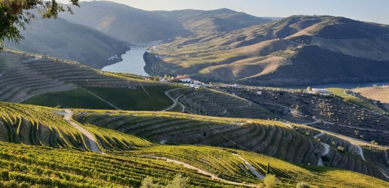Douro Private Tour  Customizable Experience - FAQ