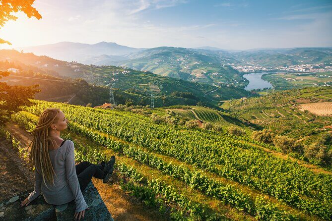 Douro Private Tour with Transport - Transportation and Comfort: What You Need to Know