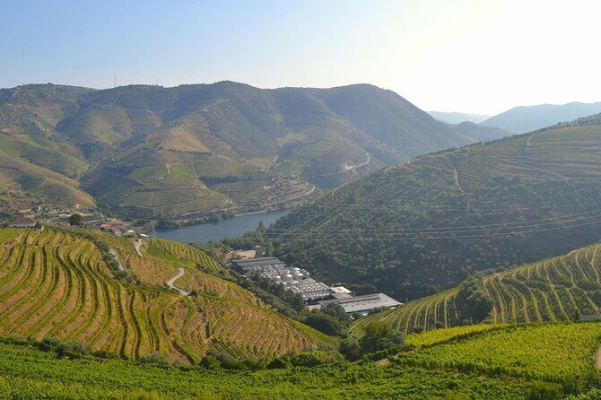 Douro Three Winery Small Group Tour with Lunch and Tastings - Final Thoughts