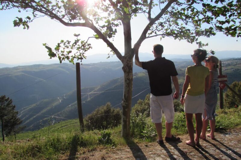 Douro Tour with Wine Tasting and Visit to Lamego and Pinhão - Who Would Love This Tour?