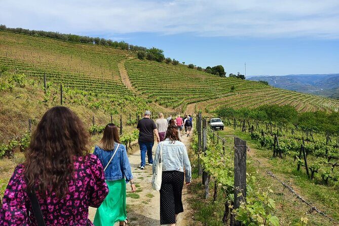 Douro Tour with Wine Tasting, River Cruise and Visit to Lamego - Exploring the Douro Valley: A Deep Dive