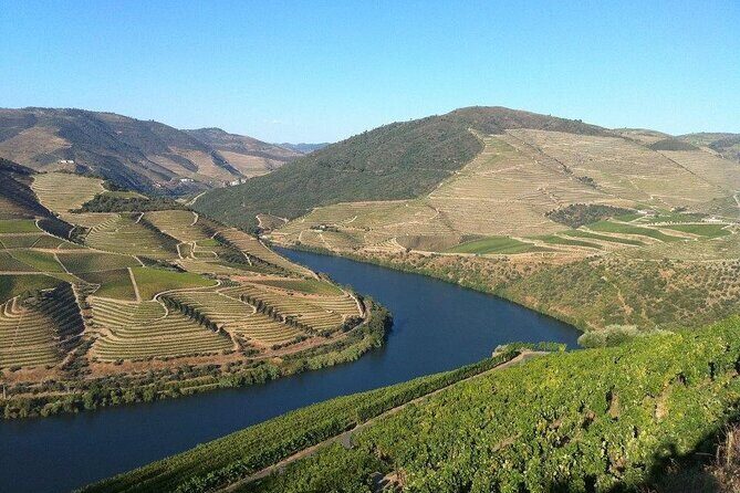DOURO TOURS - Premium Tour - Authentic Experiences and Highlights from Reviews