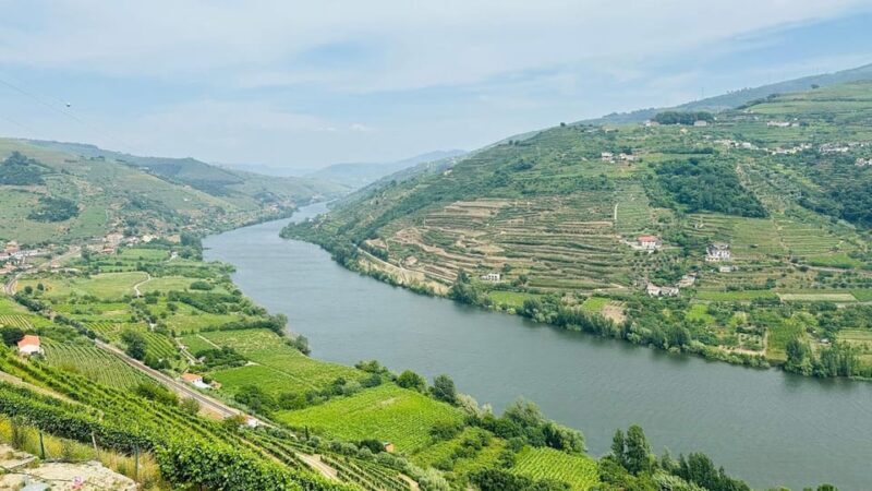 Douro Valley: 4 Cities, Wine&History - Private All-Inclusive - An In-Depth Look at the Tour Experience