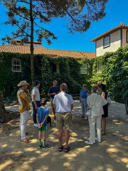 Douro Valley: 4x4 Safari and Vineyard Visit - In Summary