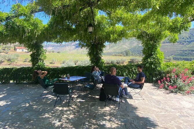 Douro Valley: A Half-Day Tour with visit, tastings & 1-h Cruise - The Itinerary: What to Expect from Start to Finish