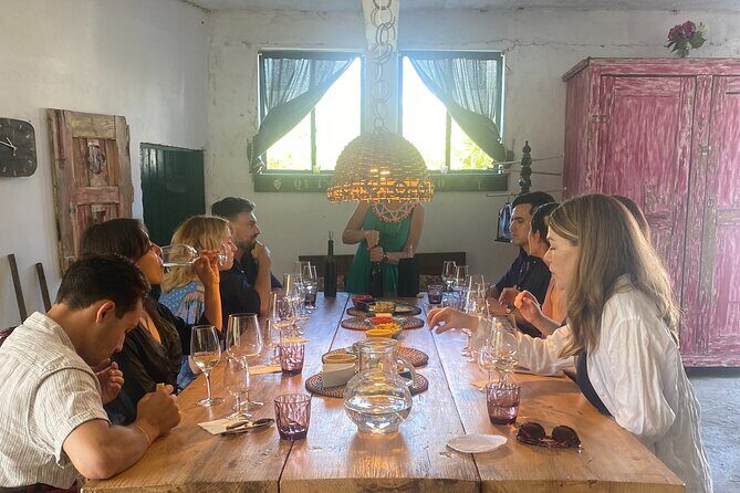 Douro Valley: A Half-Day Tour with visit, tastings & 1-h Cruise - The Sum Up: Is This Tour Worth It?