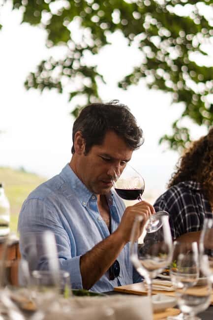 Douro Valley: A Sensory Experience in the Douro: Wines, Olive Oil, and History - Authenticity and Value