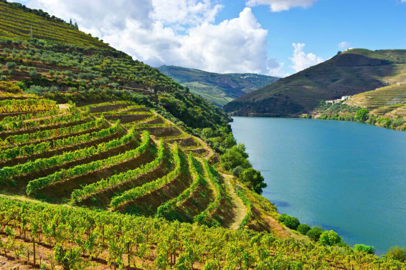 Douro Valley & Amarante - from Porto, Braga or Guimarães - Key Points