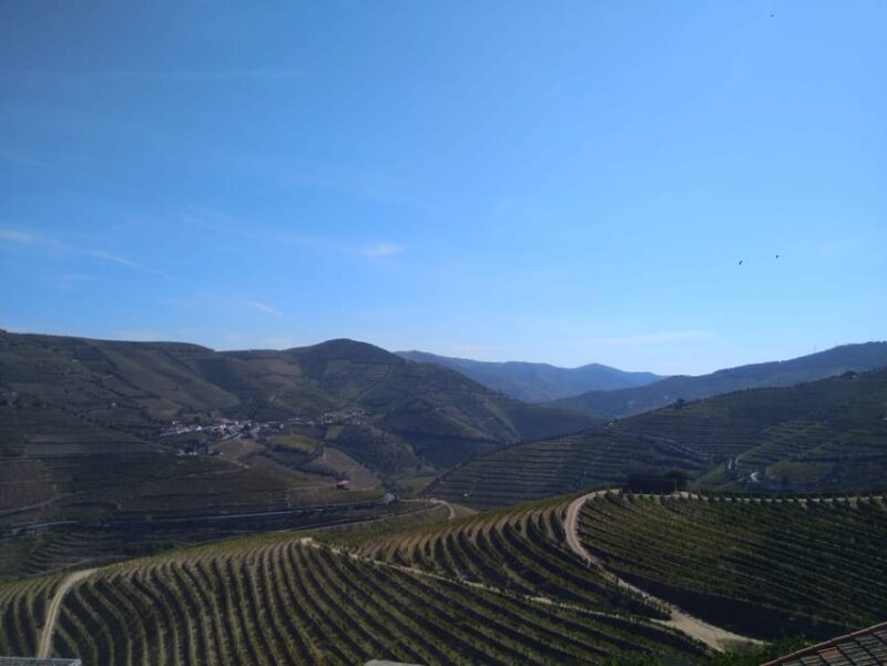 Douro Valley & Amarante - from Porto, Braga or Guimarães - The Sum Up