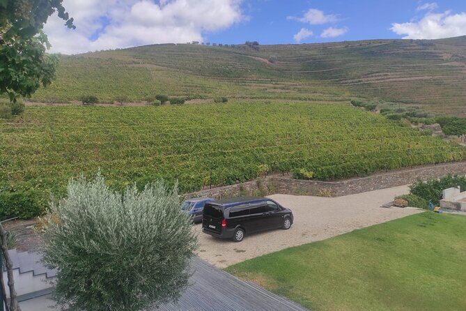 Douro Valley amazing wine Tours - Why Travelers Love This Tour