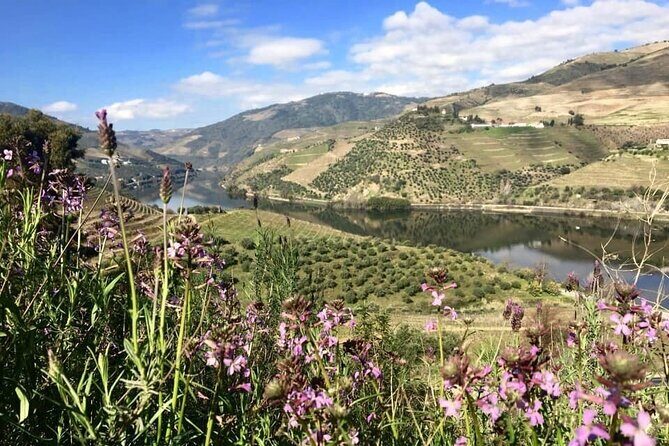 Douro Valley and Régua Panoramic Cruise with Lunch from Porto - FAQ