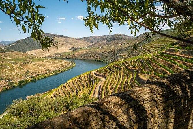 Douro Valley Best-Of Private Tour  Fully Customizable Experience - Who Will Love This Tour?