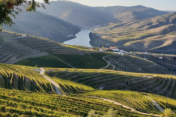 Douro Valley Best-Of Private Tour  Fully Customizable Experience - Final Thoughts