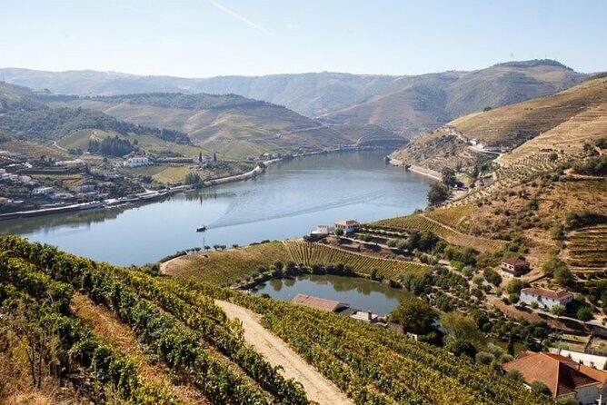 Douro Valley Exclusive and Sustainable Experience from Porto - An In-Depth Look at the Douro Valley Experience