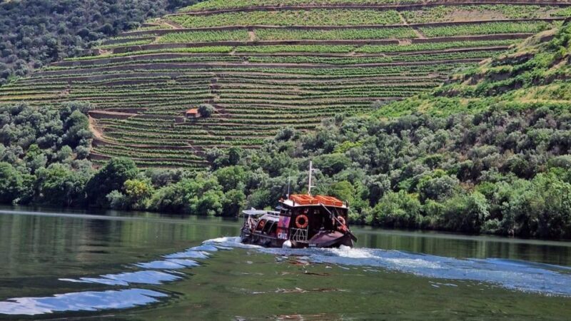 Douro Valley-Expert Guide-Boat-Lunch-Tastings PremiumService - A Well-Curated Journey Through the Douro Valley