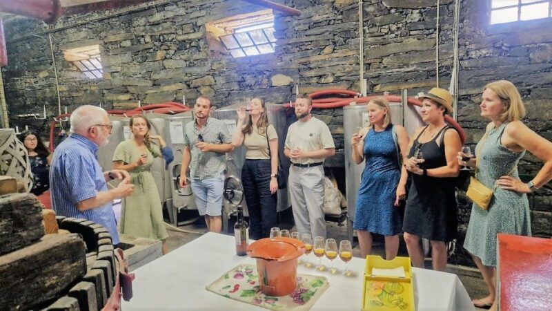 Douro Valley-Expert Guide-Boat-Lunch-Tastings PremiumService - The Sum Up