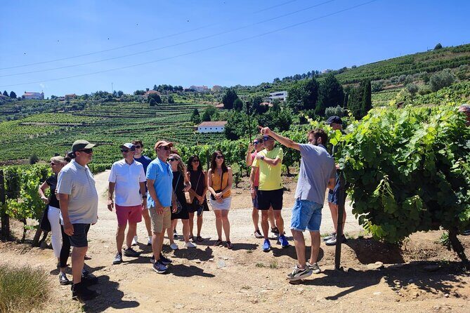 Douro Valley for Wine Lovers with Visit to 4 Wineries and Lunch - The Experience of the Guides