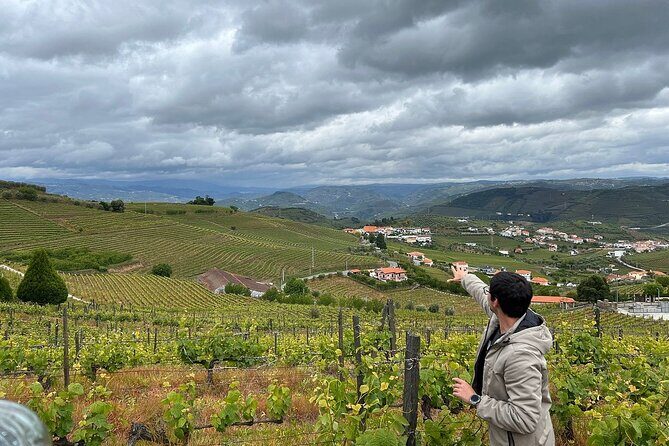 Douro Valley for Wine Lovers with Visit to 4 Wineries and Lunch - Who Would Love This Tour?