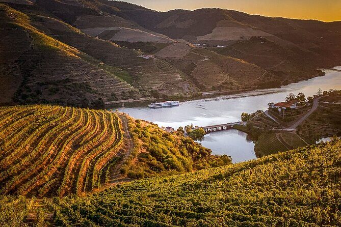 Douro Valley Half-Day Tour: Wine Tasting and Boat Ride - An In-Depth Look at the Itinerary