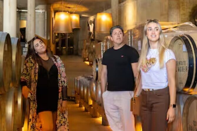 Douro Valley Half-Day Tour: Wine Tasting and Boat Ride - Summary