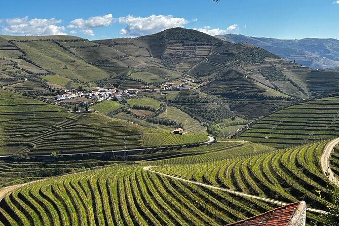Douro Valley Half-Day Tour with Winery and Lunch From Porto - Key Points