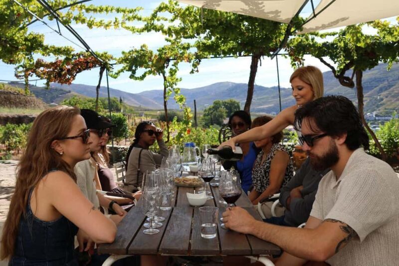 Douro Valley: Half-Day, with 1 winery & 1-h boat tour - Key Points
