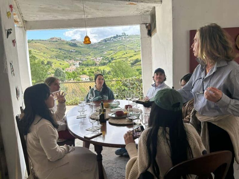 Douro Valley: Half-Day, with 1 winery & 1-h boat tour - Who is this tour best suited for?