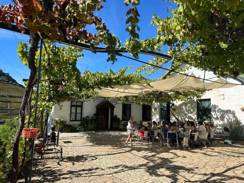 Douro Valley: Half-Day, with 1 winery & 1-h boat tour - Final thoughts