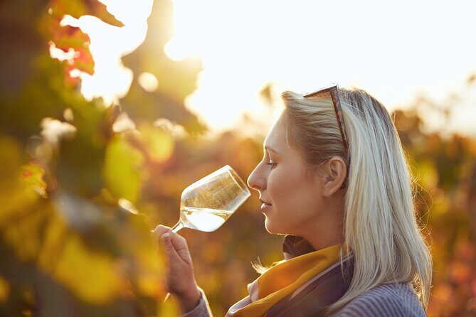 Douro Valley: Historical Sites, Wine Experience, Lunch & Cruise - Who Should Book This Tour?