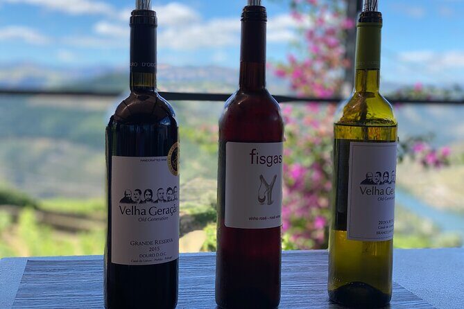 Douro Valley in a Tesla - Authentic Experiences from Guests